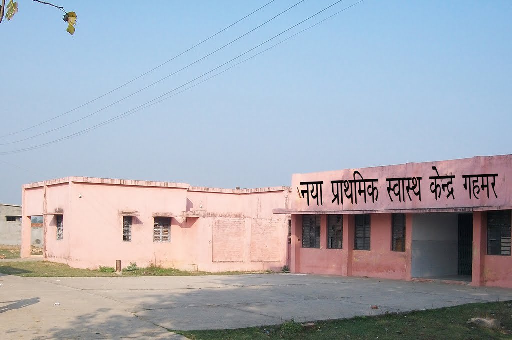 12 things related to 'Gahmar', Asia's largest village located in India