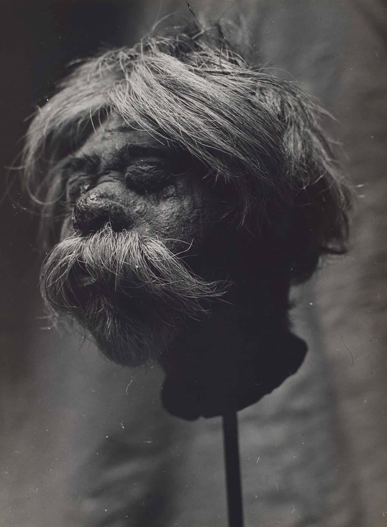 Most Terrifying Photos From History|इतिहास की हैरान कर देने वाली तस्वीरें