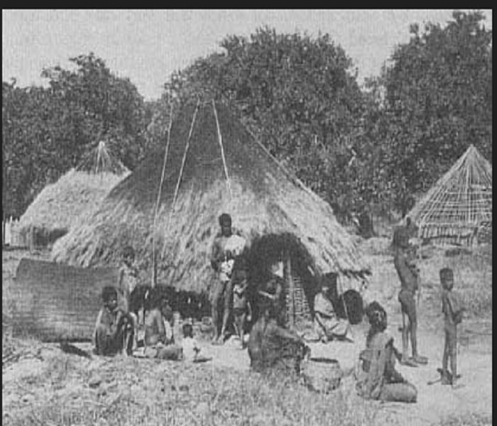 Chenchu Tribe Old Photos | चेंचू जनजाति की पुरानी तस्वीरें