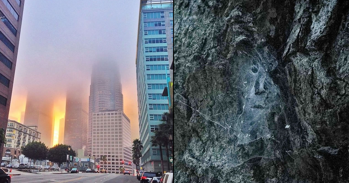 Best Pictures Of Pareidolia