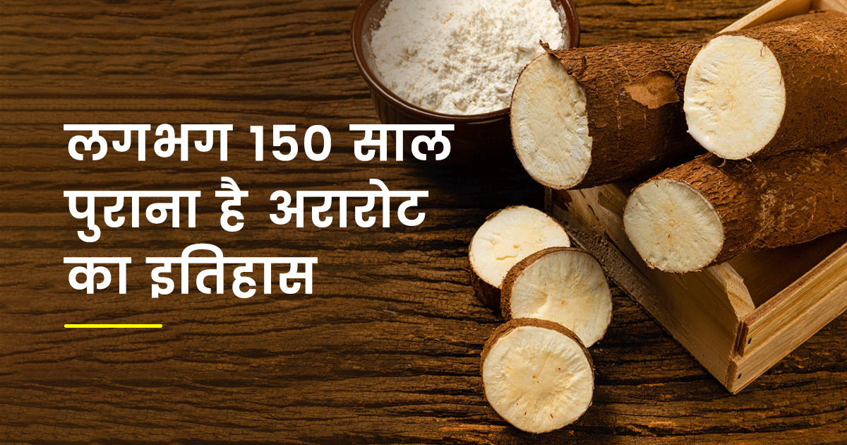 Arrowroot History In Hindi | अरारोट का इतिहास