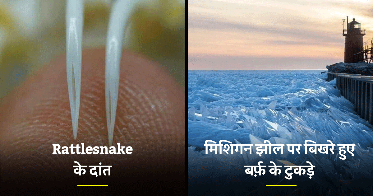 Weird and Most Shocking Things on Earth | अजीबोगरीब चीजें