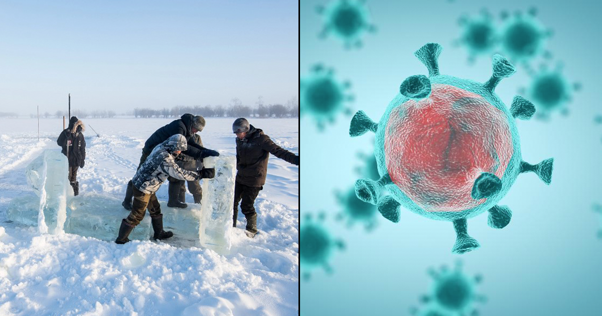 What Is Zombie Virus Or Pandoravirus Yedoma In Hindi.वायरस
