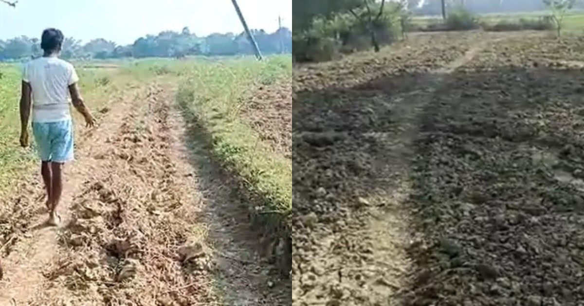 Bihar Goons Steal Road | बिहार में सड़क चोरी