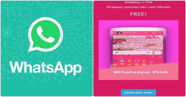 क्या है WhatsApp Pink और क्यों हो रही है WhatsApp Pink की बात?