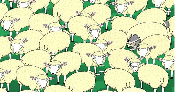 Challenge: Can You Spot 16 Hidden Objects in these images?