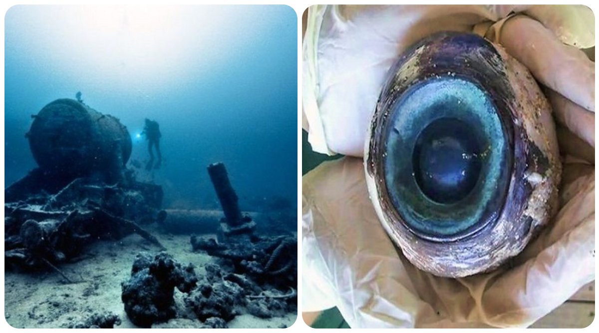 10 rare things found in the ocean | समुद्र में मिली 10 दुर्लभ चीजें