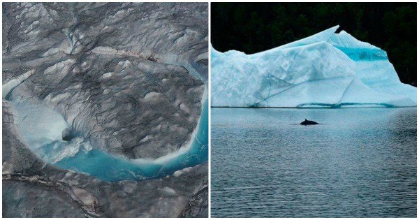 20 Disturbing Photos Of Ice Melting. पिघलती हुई बर्फ़ की 20 तस्वीरें.