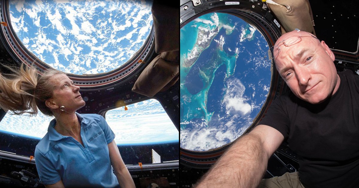 Questions about life in space answered