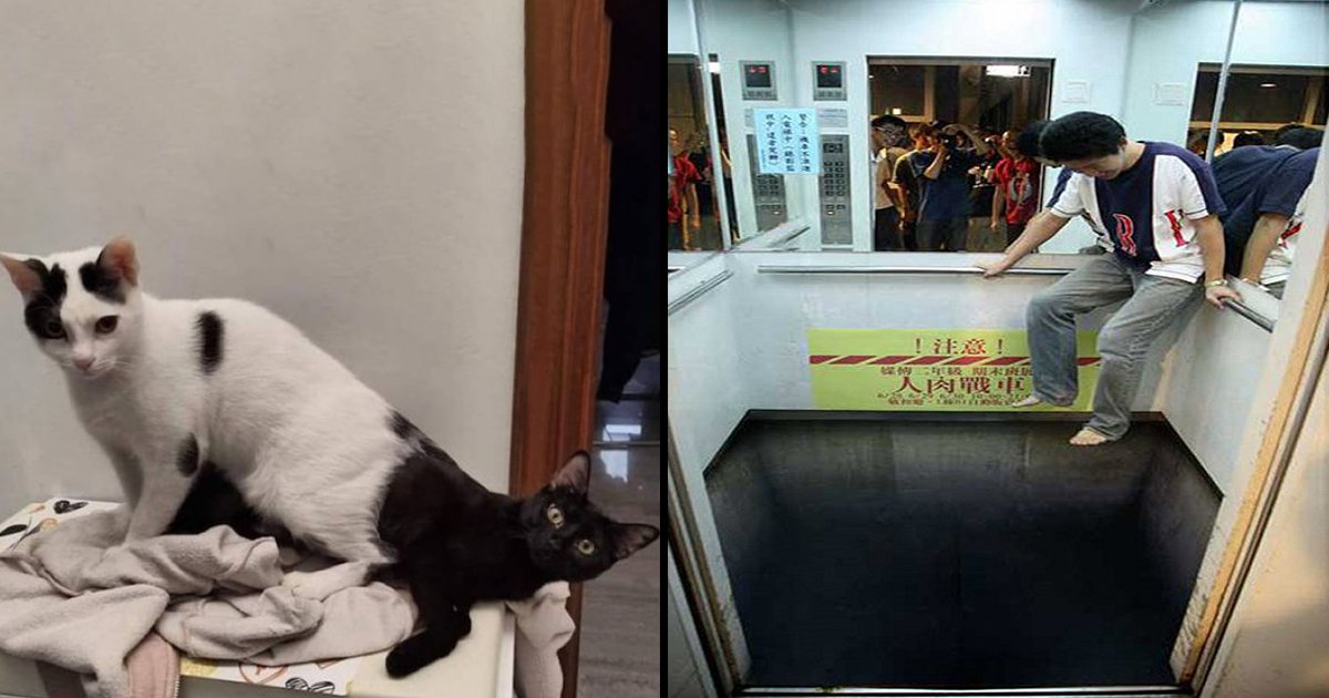 16 Mind Confusing Pictures | यहां देखिए भ्रम से भरी तस्वीरें