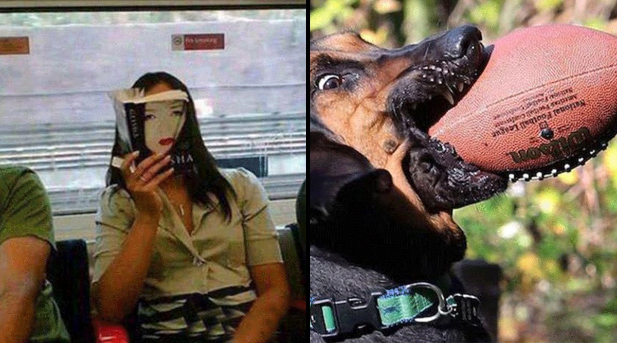 17 Perfect Timing Photos. 17 ग़ज़ब और फ़नी तस्वीरें