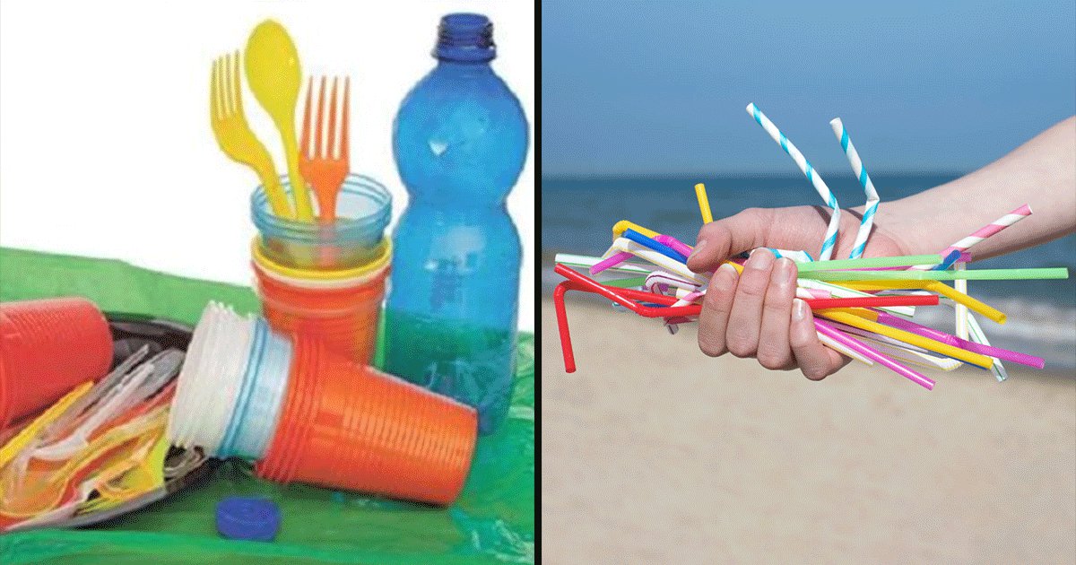 Single Use Plastic Ban In India, भारत में 'सिंगल यूज़ प्लास्टिक' बैन