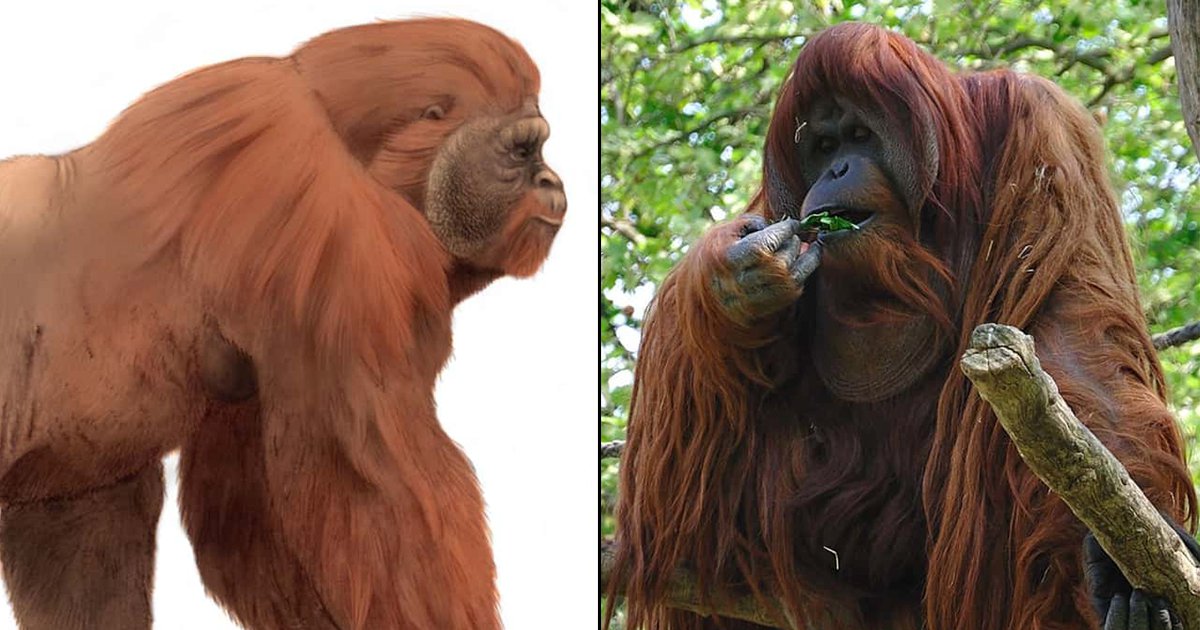 Prehistoric Era Animals Vs Now Pics