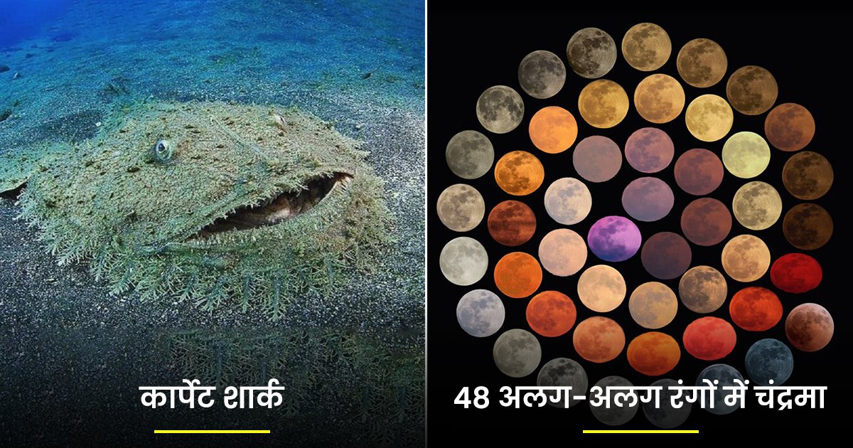 15 Most Shocking Things In The World | दुनिया की सबसे अद्भुत चीज़ें