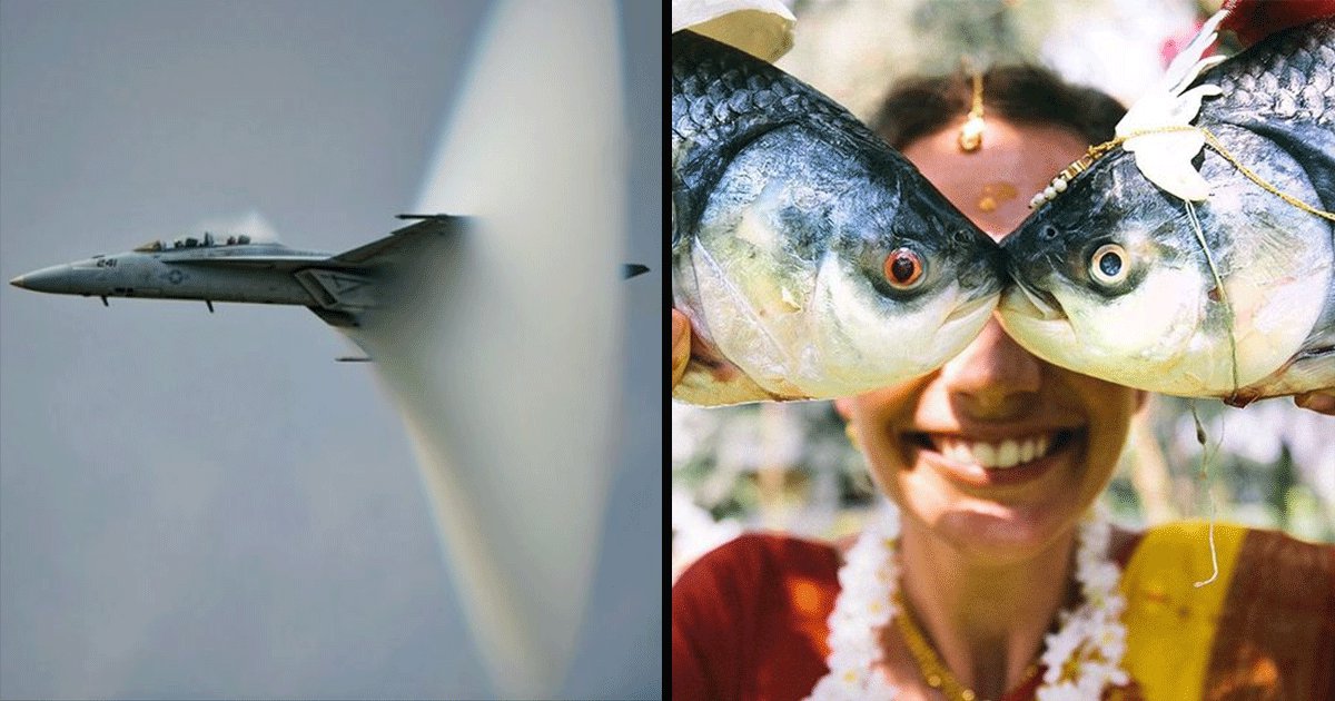 15 Non Photoshopped Unbelievable Pictures | 15 बेस्ट फोटोग्राफी