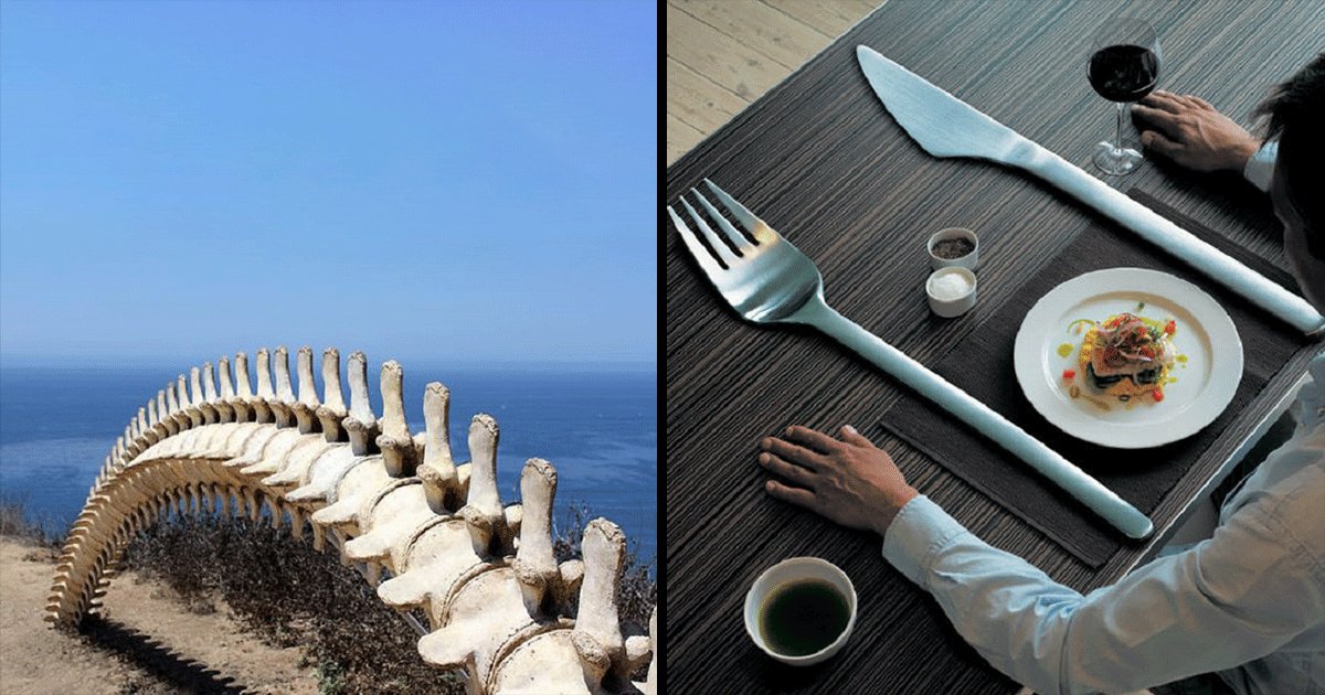 Photos of Massive Objects Will Make You Feel Small | चीजों के विशाल रूप