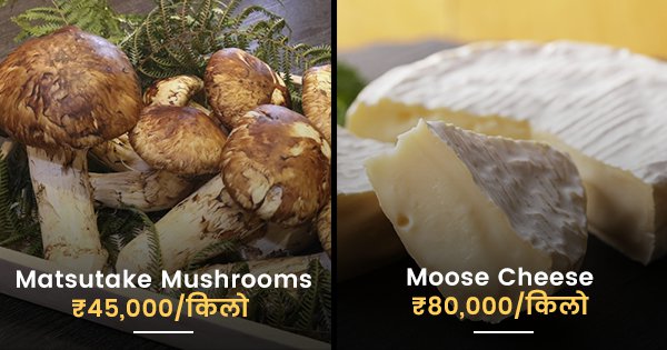 10 Most Expensive Foods in the World