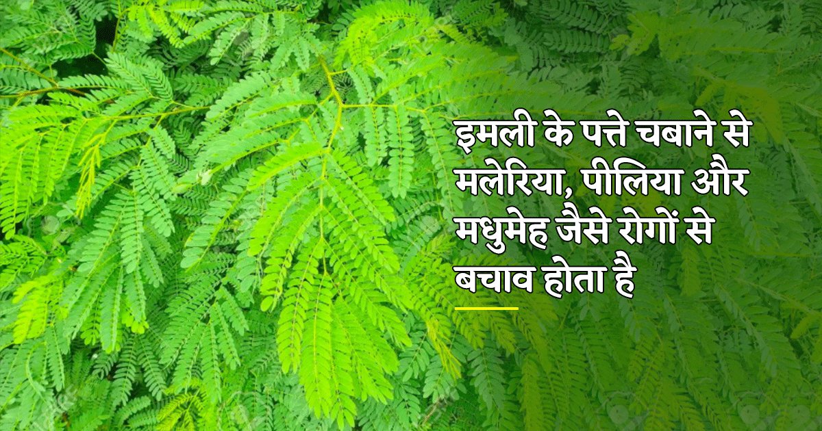 Benefits And Side Effects of Tamarind Leaves, Tansen बने संगीत सम्राट