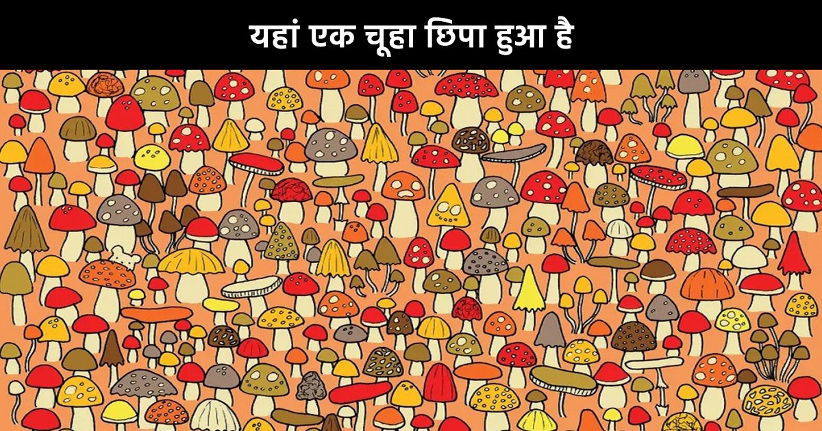 Find The Hidden Things in The Picture | तस्वीरों में छुपी हुई चीज ढूंढें
