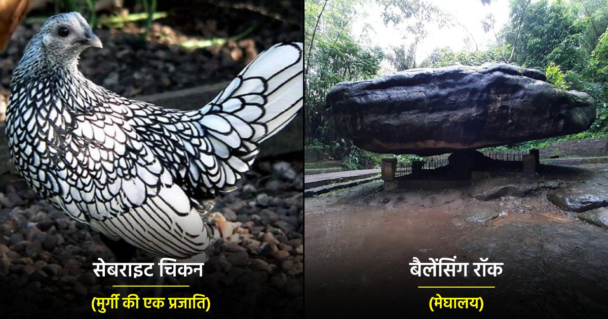 15 Photos of Most Unreal Things | दुनिया की 15 अनोखी तस्वीरें