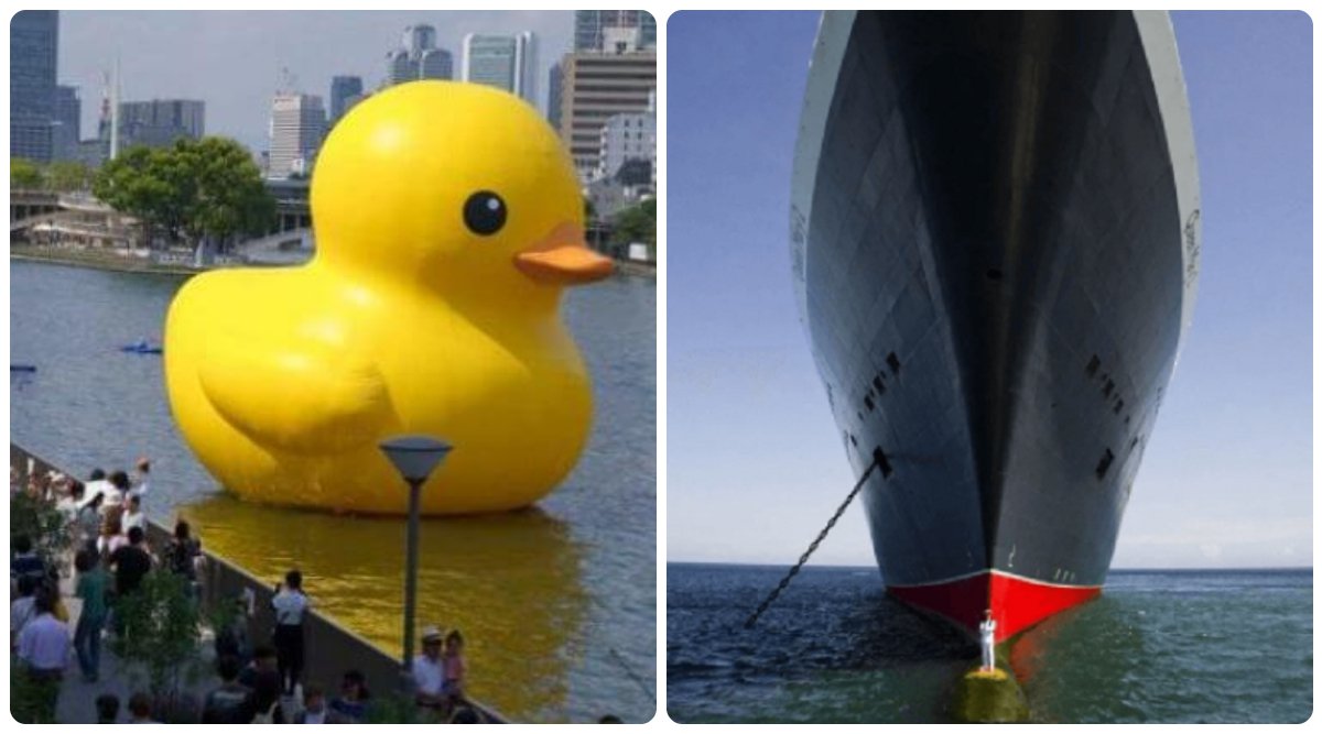 20 Oversized Things That Will Come Out Of Your Mouth OMG