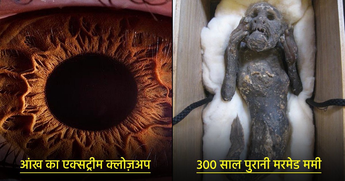 Most Surprising Things In The World|विश्व की हैरान कर देने वाली चीजें
