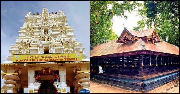 8 मंदिर जहां होती है सांपों की पूजा-अर्चना, और ये सिर्फ़ भारत में ही हो ...