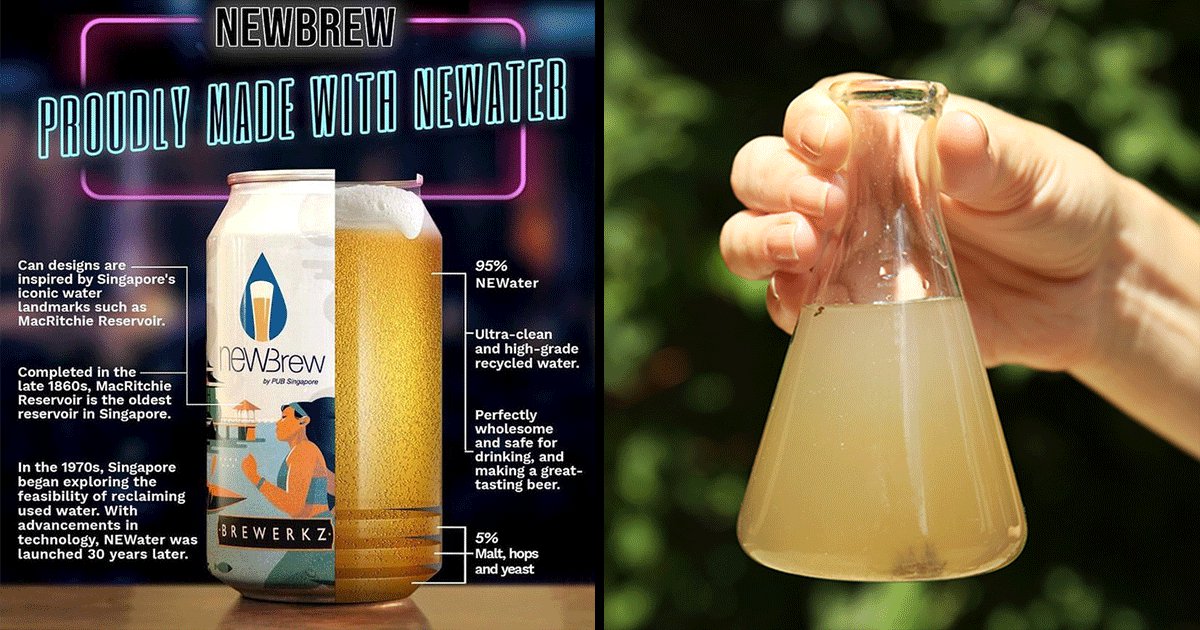 Singapore making Beer using Urine and Sewage Water|पेशाब से बनने वाली बीयर