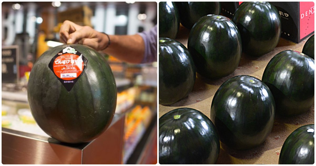World’s Most Expensive Watermelon. काला तरबूज: बाहर से भले ही ये काला ...