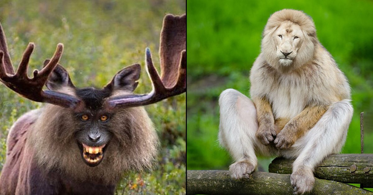Photoshopped Animal Hybrids | फोटोशॉप के जरिए बनाए गए जानवरों के हाइब्रिड
