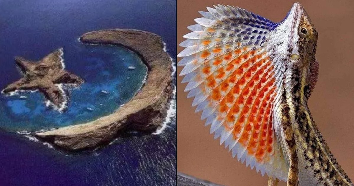 15 Cool and weird things in Nature | अजीबो-गरीब प्रकृति की तस्वीरें