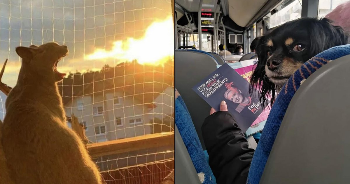 Confusing Funny Images: 21 कन्फ़्यूज़िंग फ़ोटोज़ देख लो