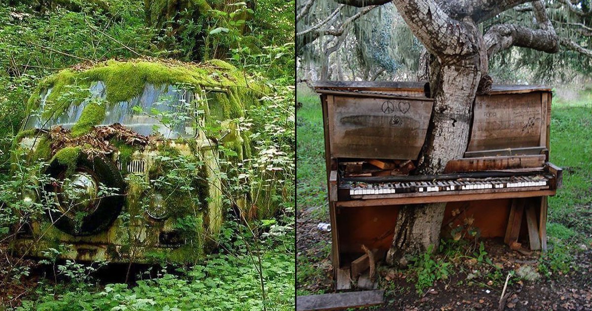 15 Times When Nature Taking Back Control | प्रकृति का शक्तिशाली रूप