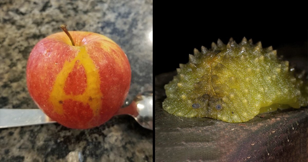 Most Surprising Photos of Mother Nature | प्रकृति की अद्भुत तस्वीरें