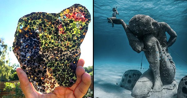 Rare Things Seen In The World. 20 दुर्लभ चीज़ों की फ़ोटोज़.