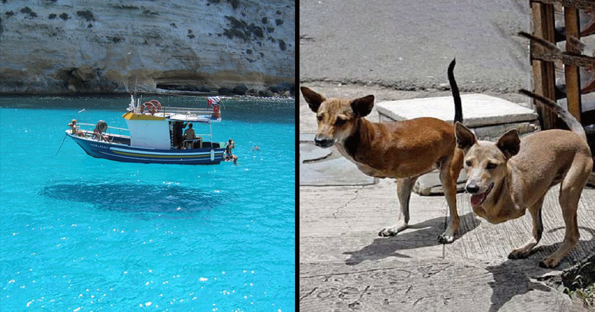 15 Unbelievable Photos Without Editing | 15 कमाल की फोटोग्राफी