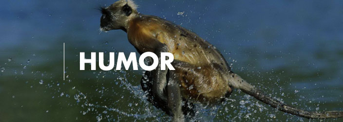 हास्य समाचार हिंदी, Humor News & Headlines, Political Satire, Cartoons ...