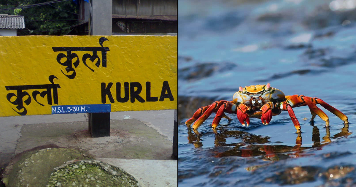 Mumbai Kurla Name Fact: 'कुर्ला' का नाम कुर्ला कैसे पड़ा?