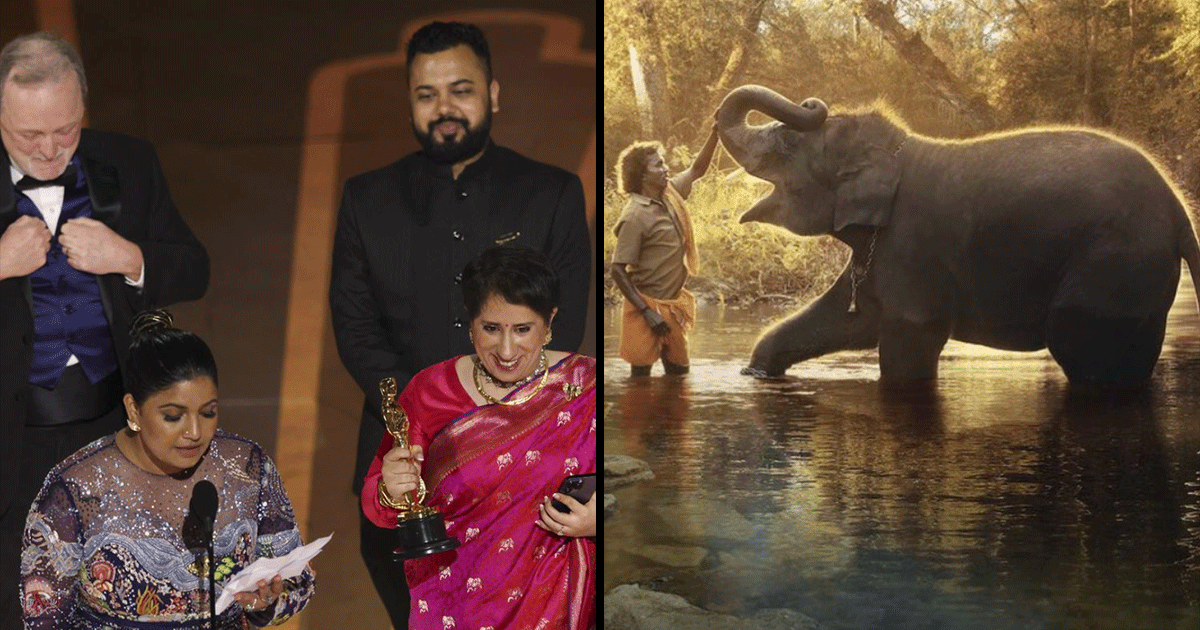 All About Oscar Winning Film The Elephant Whisperers| ऑस्कर